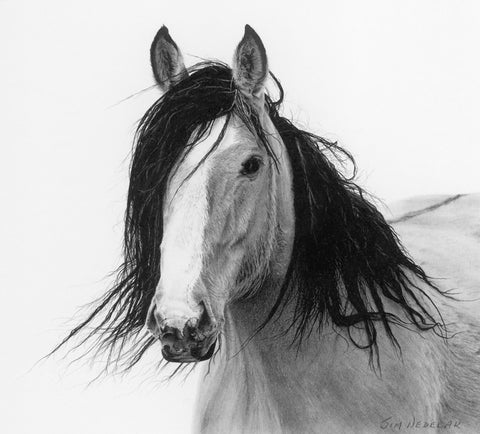 Ray Ward 'Cove Light' at White Rock Gallery – WhiteRockGallery