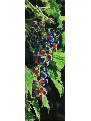 New Arrivals – WhiteRockGallery