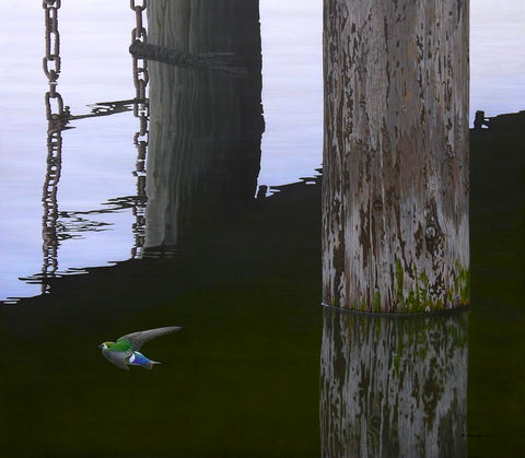 Cameron Bird – WhiteRockGallery