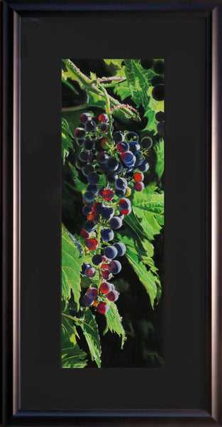 Jennifer Annesley 'Jennifer Annesley - "The Vines"' at White Rock ...